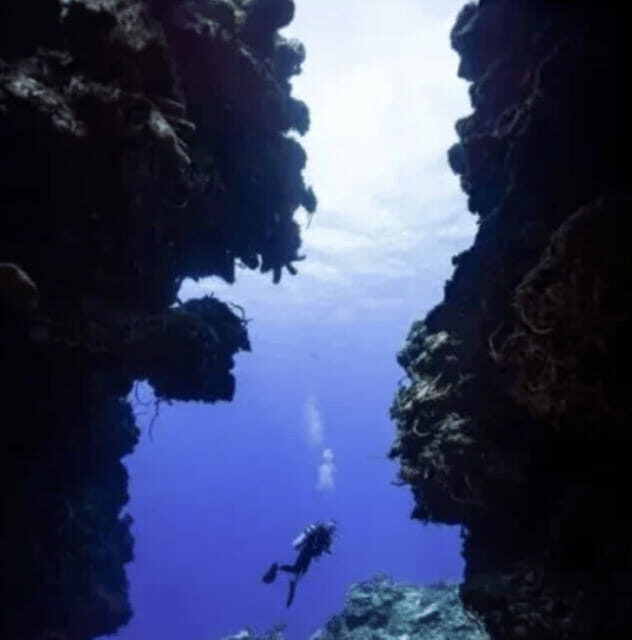 Scuba Diving Playa del Carmen: PADI Open Water Certification - Real Reviews & Participant Feedback