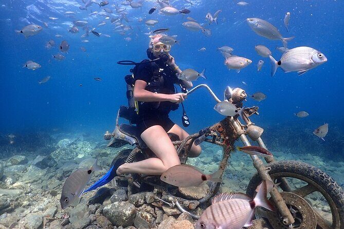 Scuba Diving Tour From Kusadasi / Selcuk - Introduction: A Taste of the Underwater World in Kusadasi