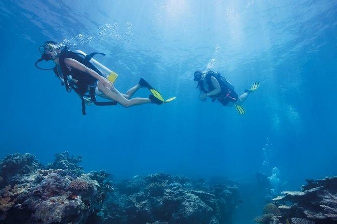 Scuba Diving Tour From Kusadasi / Selcuk - Authentic Experiences and Traveler Feedback