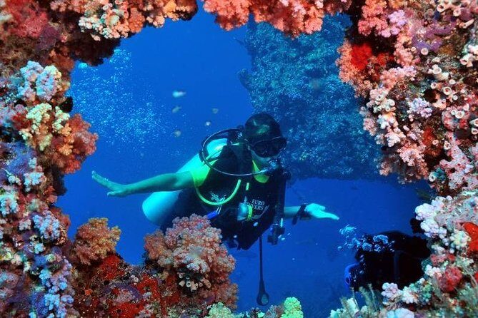 Scuba Diving Tour From Kusadasi / Selcuk - Who Will Love This Tour?