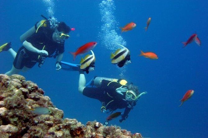 Scuba Diving Tour From Kusadasi / Selcuk - The Sum Up: Who This Tour Is Best For