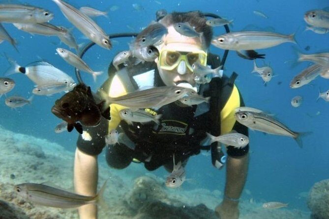 Scuba Diving Tour From Kusadasi / Selcuk - FAQ: Practical Questions About the Kusadasi Scuba Tour