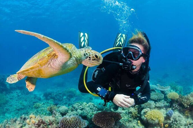 Scuba Diving Tour in Kemer with Lunch and Transfer - Introduction