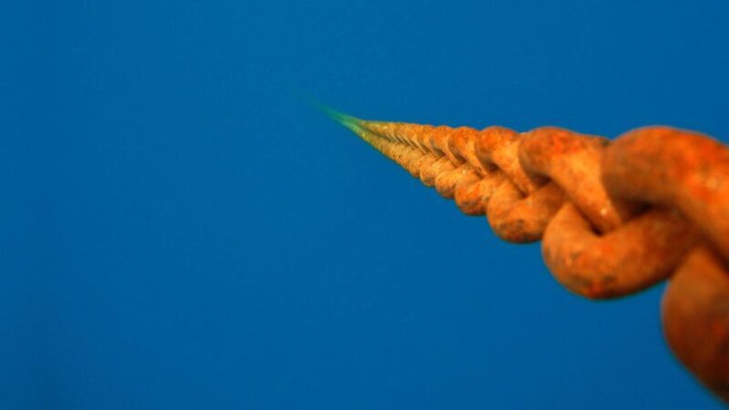 Scuba Diving Tour with Transfer From Alanya and city of Side - Introduction: An Underwater Adventure in Turkey