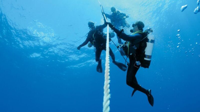 Scuba Diving Tour with Transfer From Alanya and city of Side - The Practical Details & Group Dynamics
