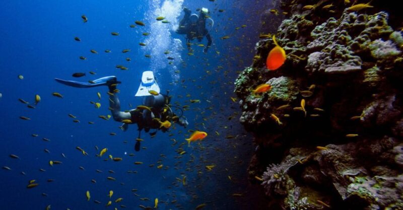 Scuba Diving Tour with Transfer From Alanya and city of Side - FAQ