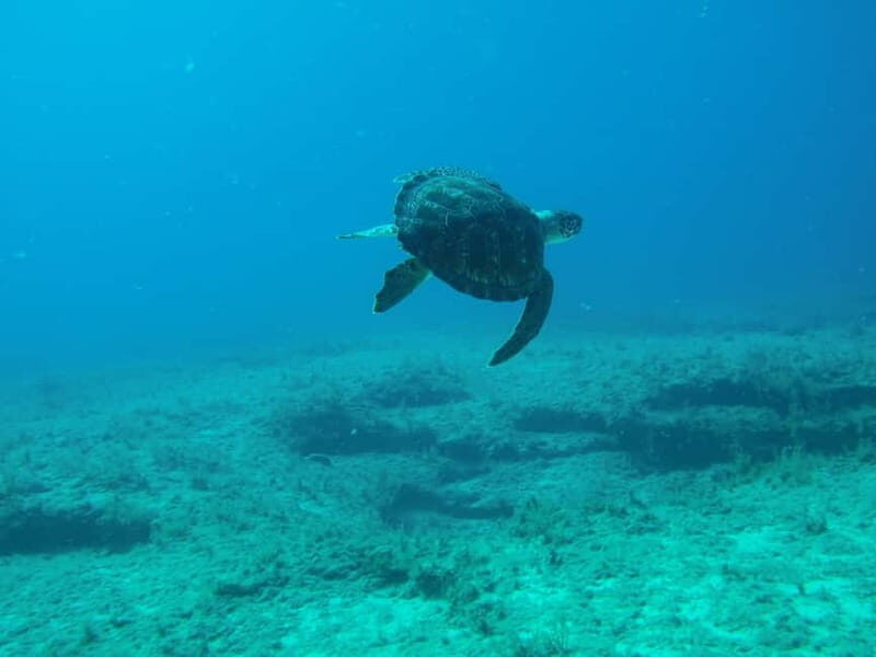 Scuba Diving - Tunnels & Caves - Cape Greco - private guided - The Sum Up