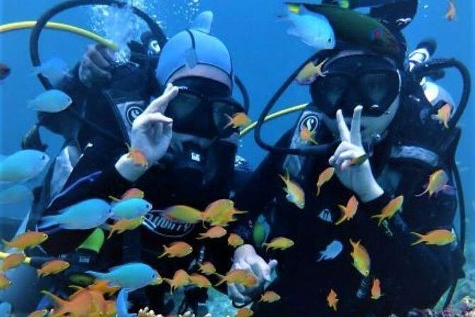 Scuba Diving & Water Sports - The Family and Child Discount