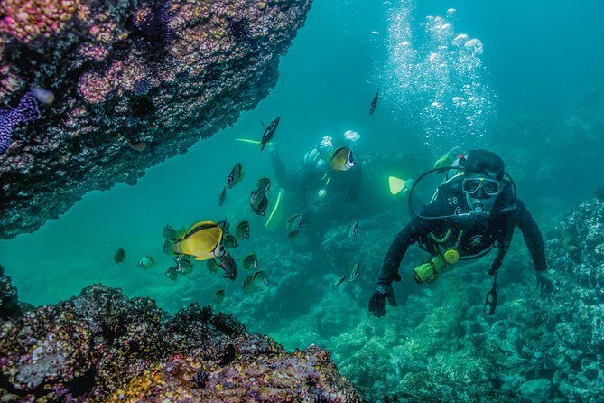 Scuba Diving with a 5-Star PADI Center in Puerto Vallarta - The Value for Money