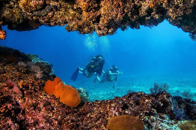 Scuba Diving with a 5-Star PADI Center in Puerto Vallarta - Who Should Book This Tour?
