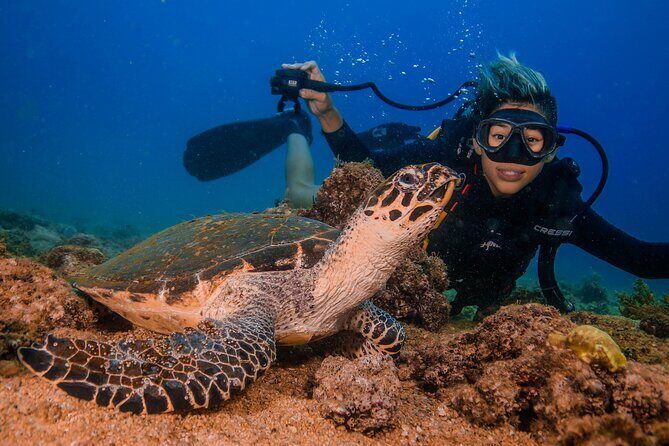 Scuba Diving with a 5-Star PADI Center in Puerto Vallarta - FAQs