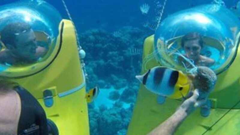 Scuba Doo - Diving Scooters in Punta Cana - Practical Considerations