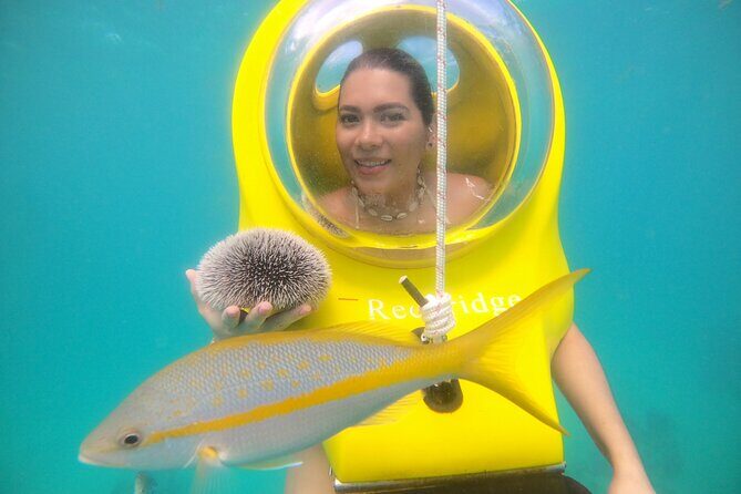 Scuba Doo in Punta Cana with Snorkelling Equipment - Key Points