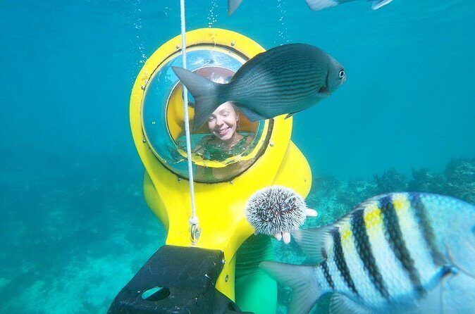 Scuba-Doo Scooter in Punta Cana - Who Will Love This Tour?