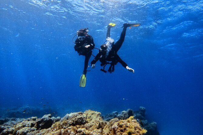 Scuba Experience in Tenerife with Guide - The Equipment and Safety