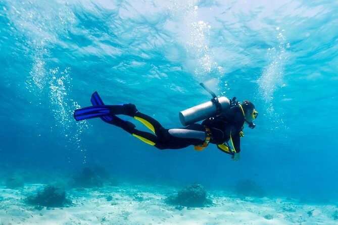 Scuba Referral Dives & Beach Club with Transportation In Riviera Maya - The Benefits of Small-Group Guided Diving