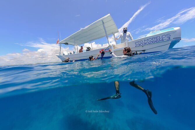 Scuba Referral Dives & Beach Club with Transportation In Riviera Maya - Value and Pricing — Does It Match the Experience?
