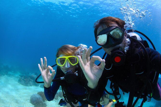 Scuba Referral Dives & Beach Club with Transportation In Riviera Maya - Who Would Love This Experience?