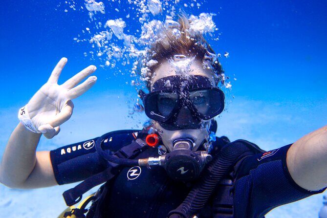 Scuba Referral Dives & Beach Club with Transportation In Riviera Maya - Final Thoughts