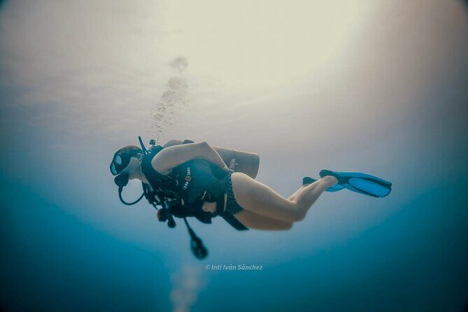 Scuba Referral Dives & Beach Club with Transportation In Riviera Maya - FAQs