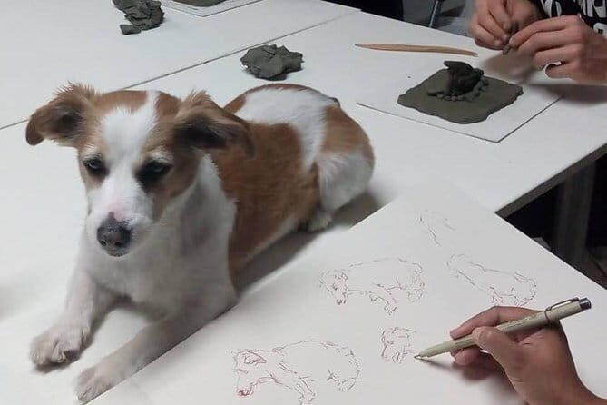 Sculpt to Florentine Pet - An In-depth Look at the Sculpt to Florentine Pet Tour