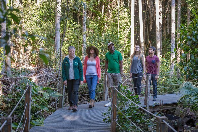 Sea Acres Rainforest Boardwalk Tour - Key Points