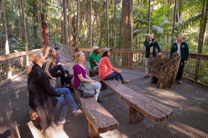 Sea Acres Rainforest Boardwalk Tour - The Itinerary in Detail
