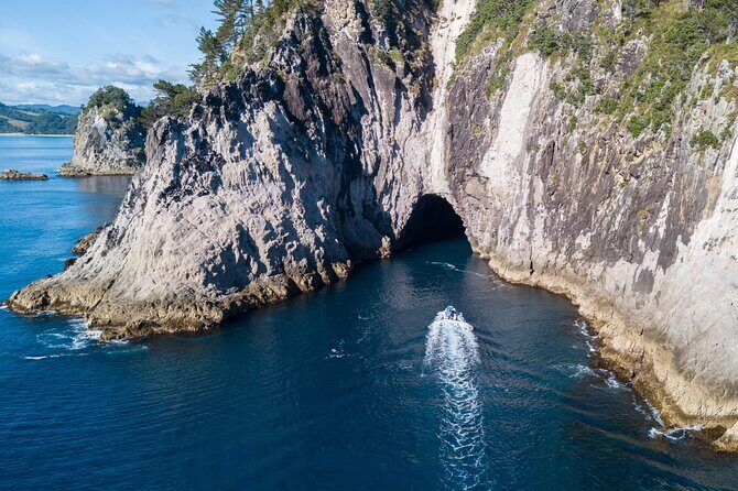 Sea Cave Adventures in Whitianga - Practical Tips for Booking and Enjoyment