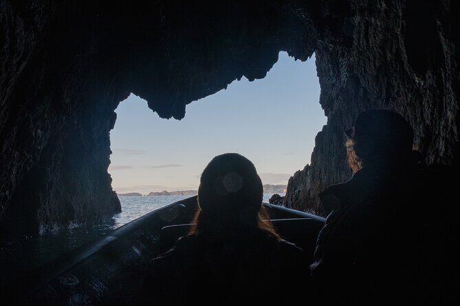 Sea Cave Adventures in Whitianga - The Sum Up
