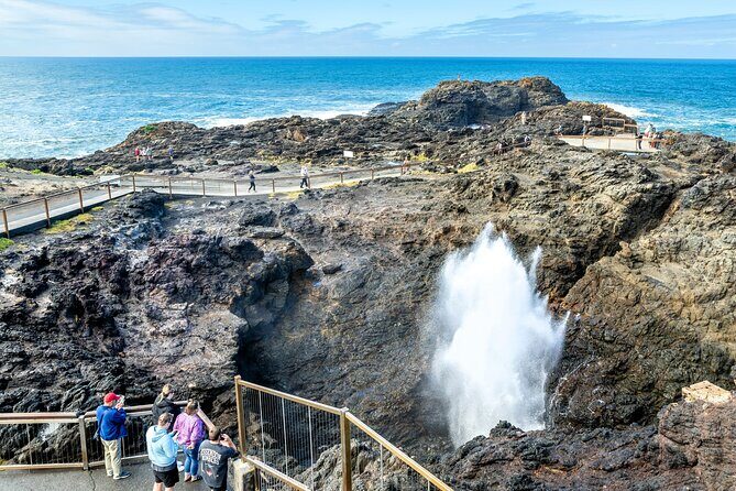 Sea Cliff Bridge, Kiama Blowhole, Beaches & Farmlands Small Group - The Value Proposition