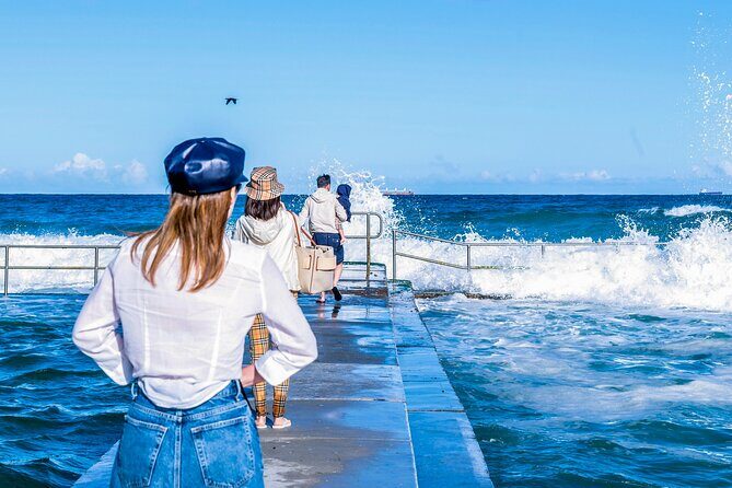 Sea Cliff Bridge, Kiama Blowhole, Beaches & Farmlands Small Group - Who Will Love This Tour?
