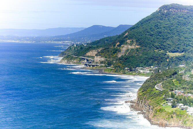 Sea Cliff Bridge Tours with Whale Watching and Wine Tasting - Authentic Experiences and Practical Notes