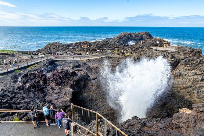 Sea Cliff Bridge Tours with Whale Watching and Wine Tasting - The Sum Up: Who Should Consider This Tour?
