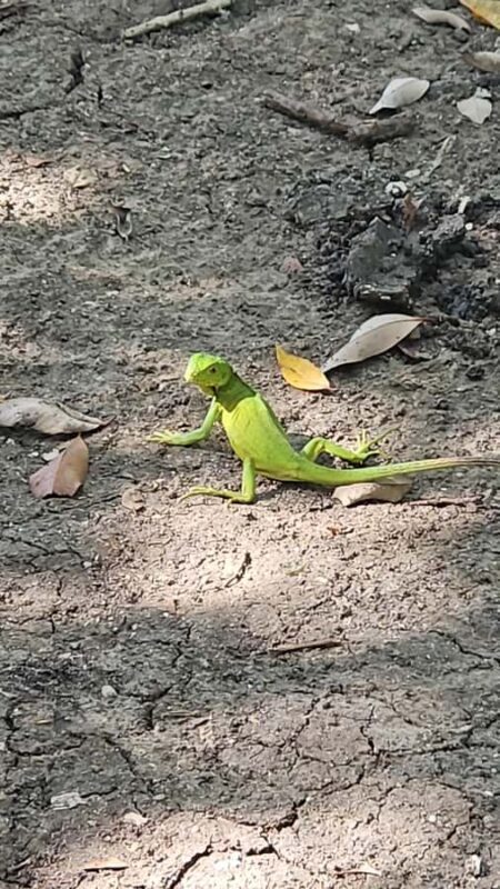 Sea excursion - Key Points