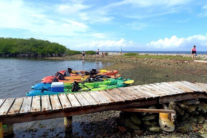 Sea Glass Island Aruba Tour - Practical Tips for Travelers