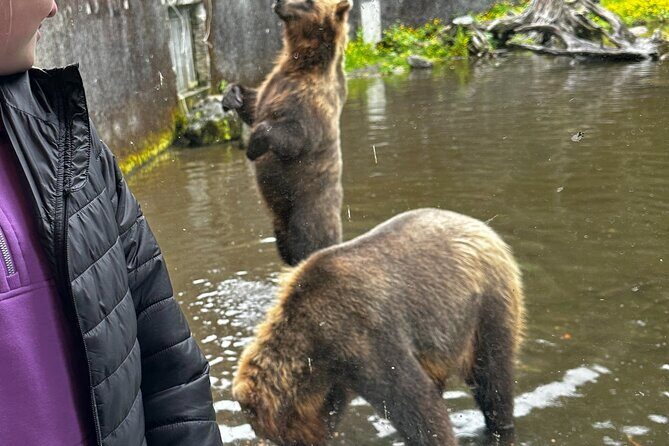 Sea it All -Private Sitka Wildlife LAND & SEA COMBO for 6 w/meal - Final Thoughts