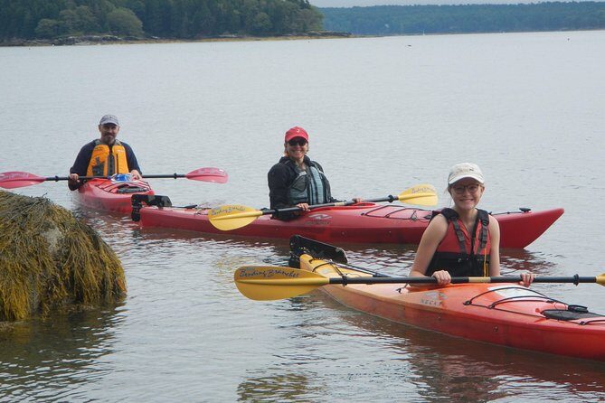 Sea Kayak to an Island Tour in Casco Bay - An In-Depth Look at the Casco Bay Sea Kayak Tour