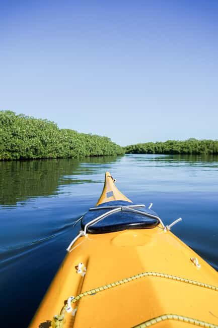 Sea Kayak Tour - Mangrove Safari - Key Points
