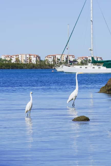 Sea Kayak Tour - Mangrove Safari - Final Thoughts