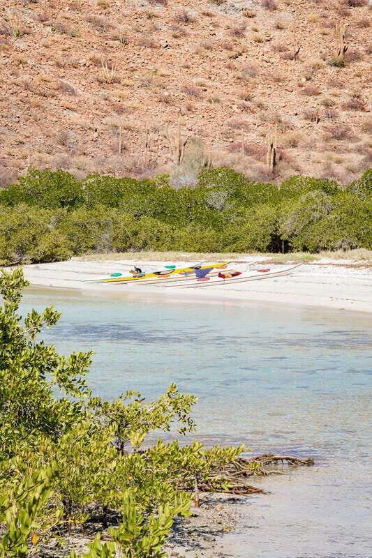 Sea Kayak Tour - Marine Safari - Starting Point and First Impressions