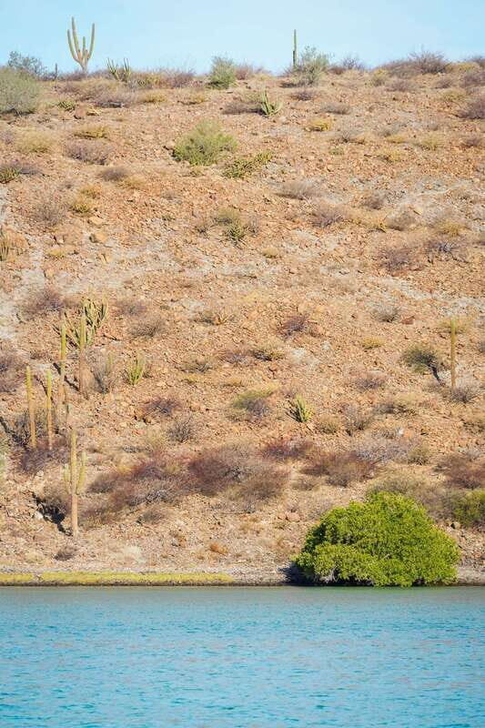 Sea Kayak Tour - Marine Safari - The 3-Mile Hike to Playa Balandra Viewpoint