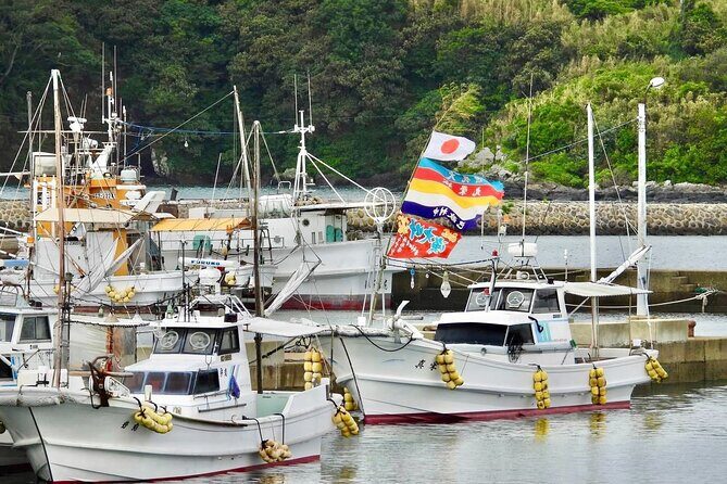 Sea Kayaking and Beach Clean up in Ojika Island Nagasaki - Authentic Experiences and Tips