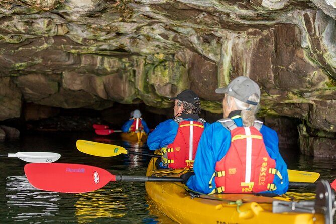 Sea Kayaking Christchurch, Lyttelton Harbour & Quail Island - A Detailed Look at the Experience
