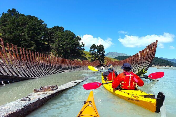 Sea Kayaking Christchurch, Lyttelton Harbour & Quail Island - FAQ