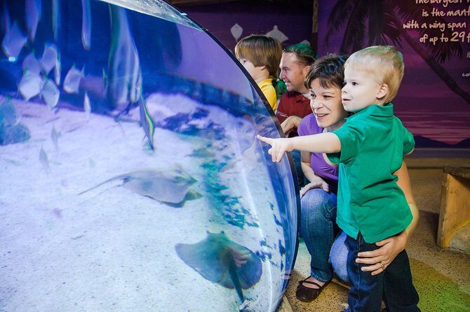 SEA LIFE Aquarium Arizona Admission Ticket - A Closer Look at the Experience