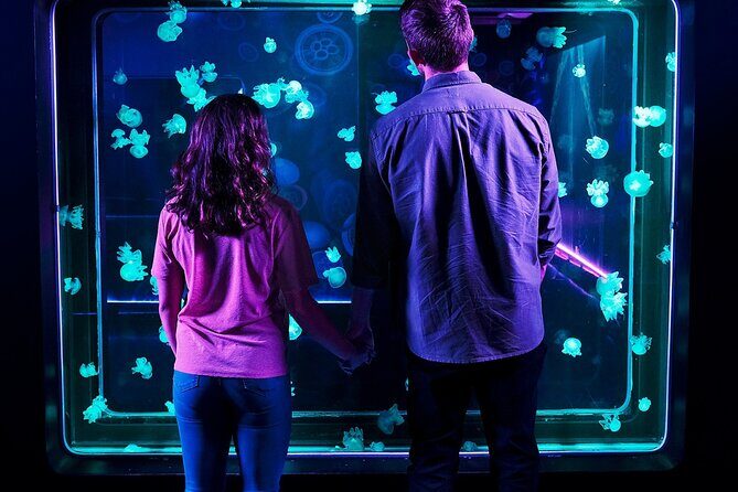 SEA LIFE Aquarium Grapevine Admission Ticket - Authentic Visitor Experiences
