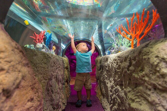 SEA LIFE Aquarium Minnesota Admission Ticket at Mall of America - Final Thoughts