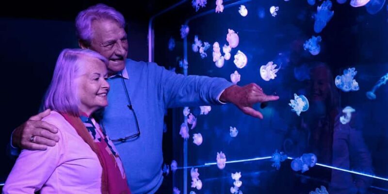 SEA LIFE Aquarium San Antonio - Key Points