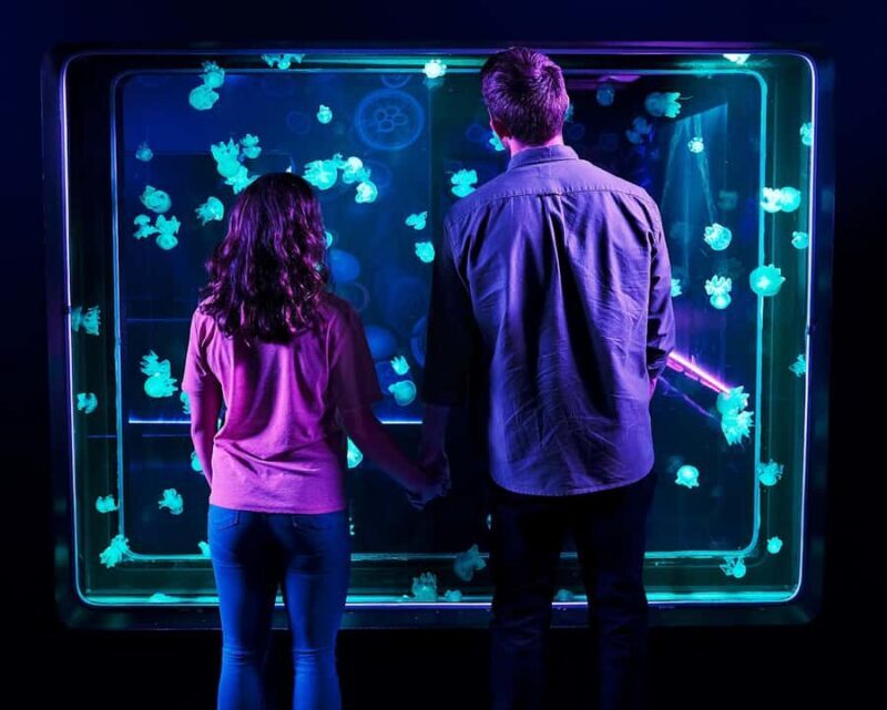 SEA LIFE Aquarium San Antonio - Final thoughts: Is it worth it?