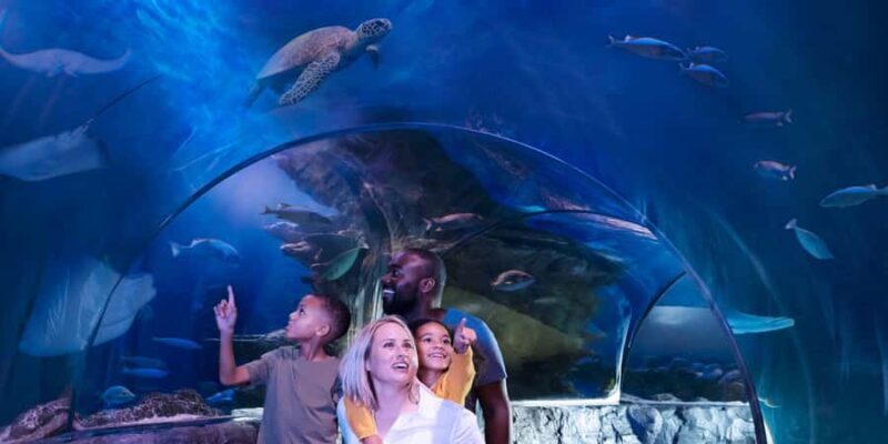 SEA LIFE Aquarium San Antonio - FAQs